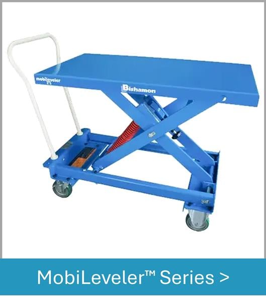 Homepage [bishamon.motionsavers.com]